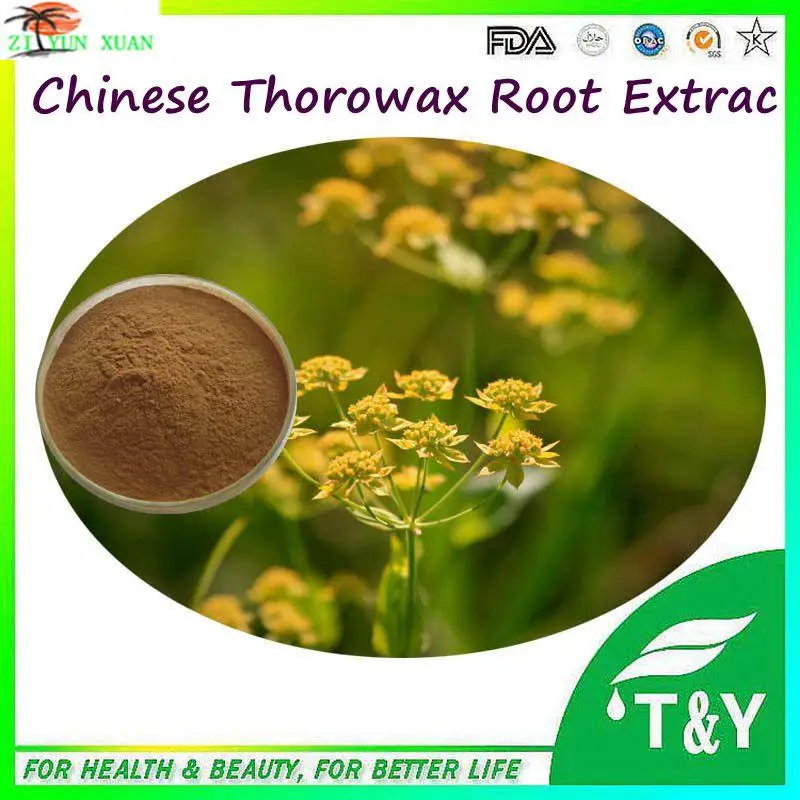 TOP Quality bupleurum extract powder radix bupleuri root extract ...