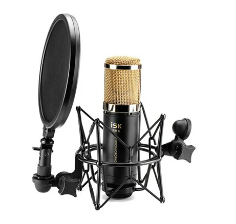 ISK RM 6 High grade gold plating condenser microphone professional for ...