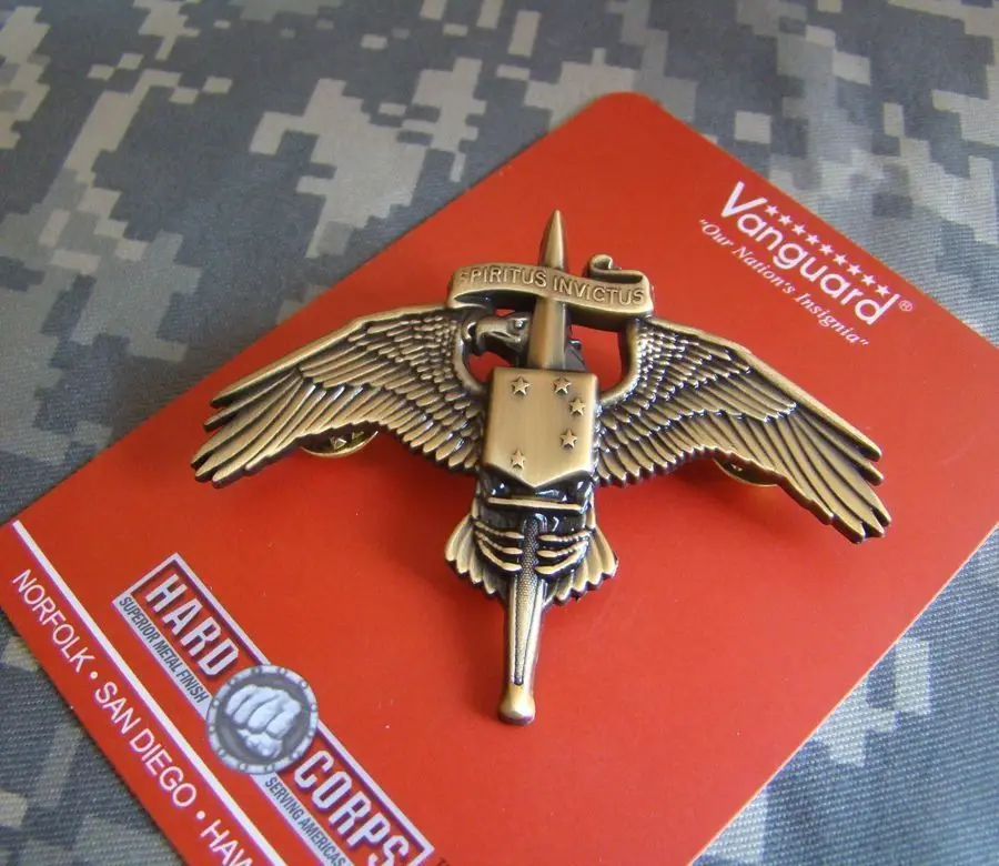 USMC-MARSOC-RAIDER.jpg
