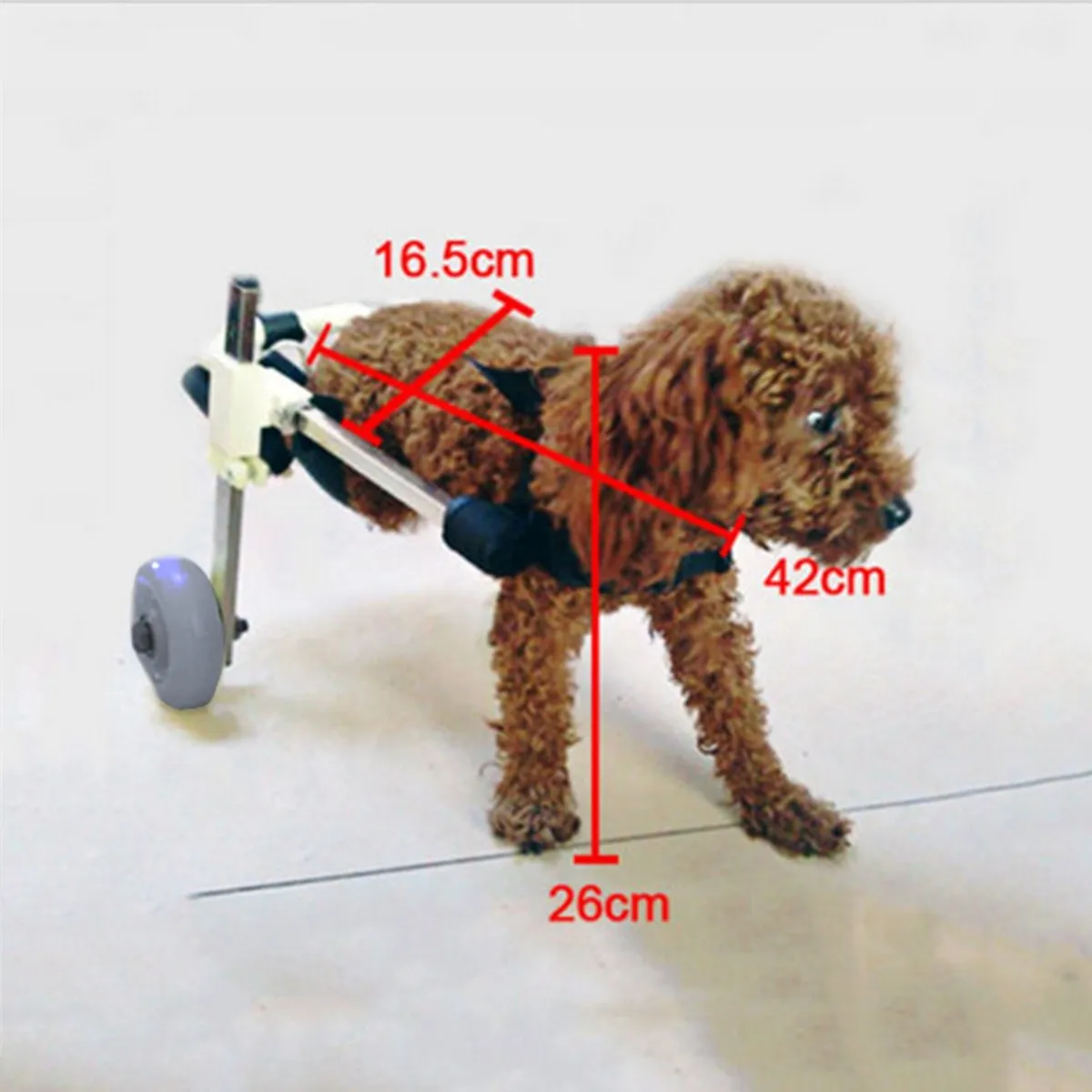 Pet Wheelchair dog Paralyzed Cart Pet Dog Scooter / Disabled Dog ...