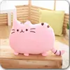 25cm Kawaii Pusheen Plush Pillow 5 Colors - Kuru Store