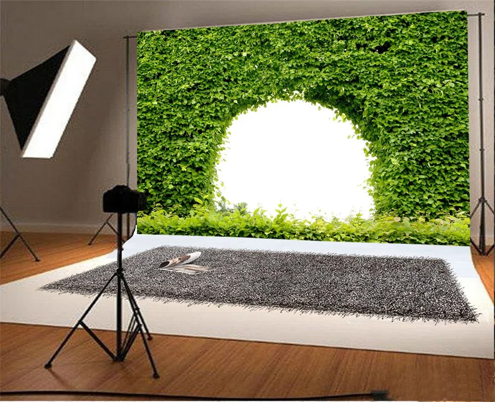 Laeacco Green Backdrops Spring Vine Wall Mystery Arch Door Photographic ...