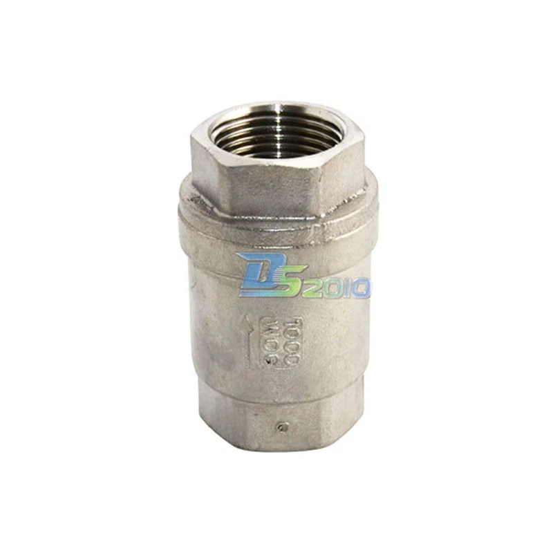 MEGAIRON BSPT 1" DN25 Stainless Steel SS316 Check Valve 1000 WOG Thread ...