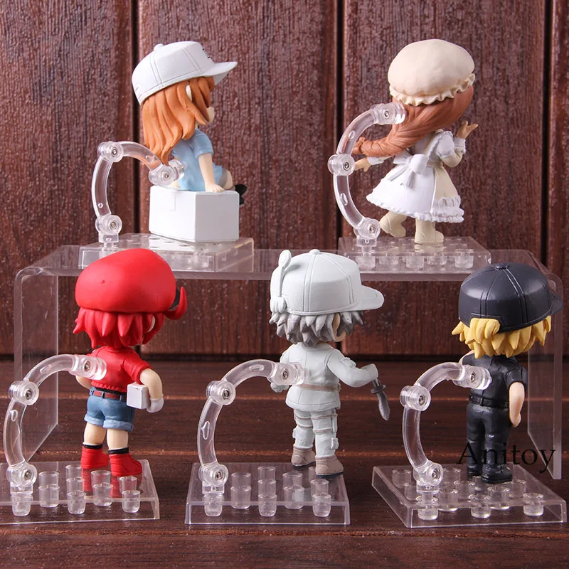 Cells at Work Platelet Red Blood Cell White Blood Cell Killer T ...