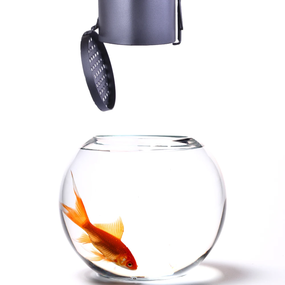 Appearing-Goldfish-Gimmick-Metal-Magic-Tricks-Fish-Appear-Magia ...