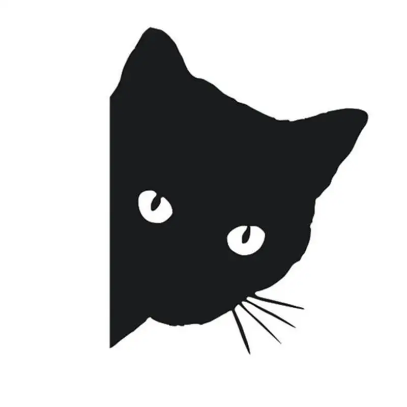 What’s up with peep cat stickers? - Page 1 - The Lounge - PistonHeads UK