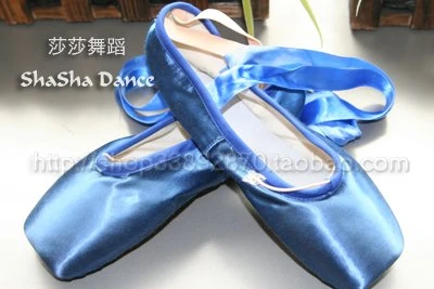Blue Pointe Shoes