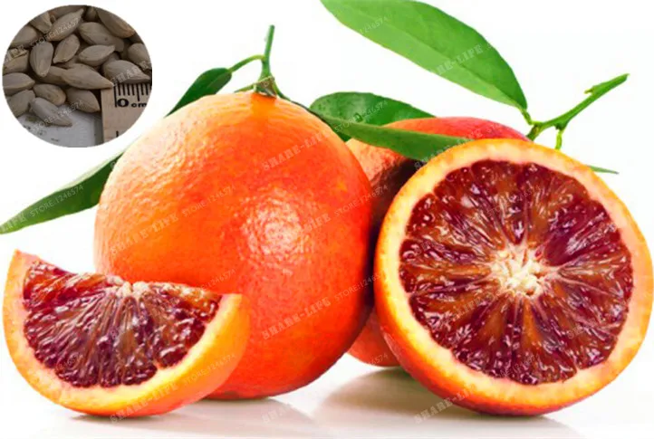 Online Buy Wholesale red lemon from China red lemon Wholesalers ...