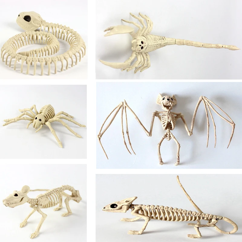 Hot Animal Skeleton Model Bones Halloween Party Decoration Model Home ...