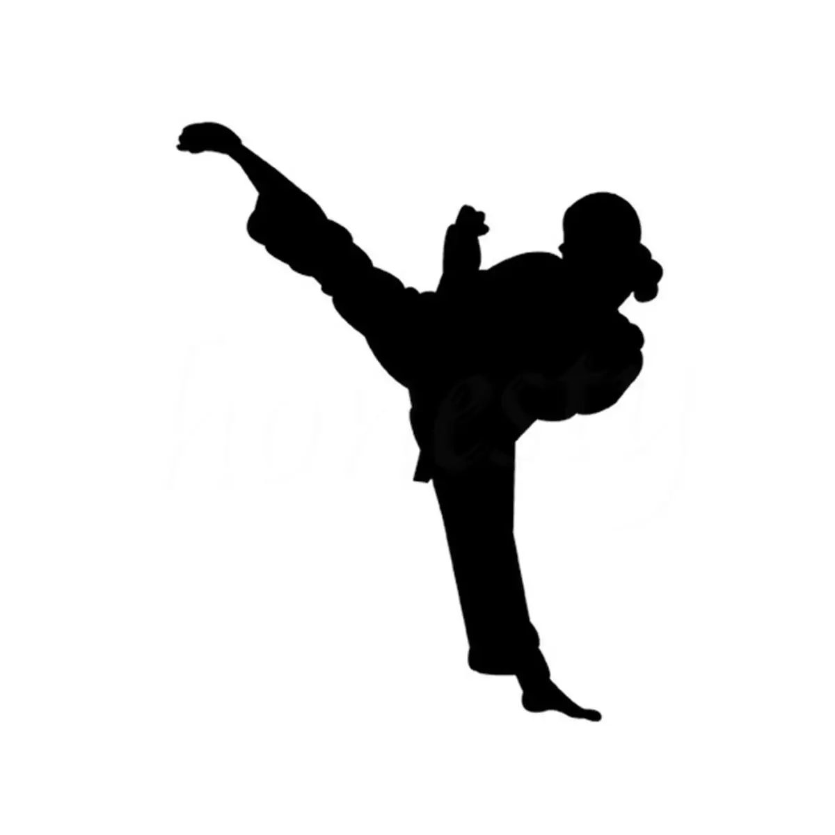 Chinesische-Kung-Fu-Meister-Legend-Frauen-Karate-Taekwondo-Zeichen-Wand ...