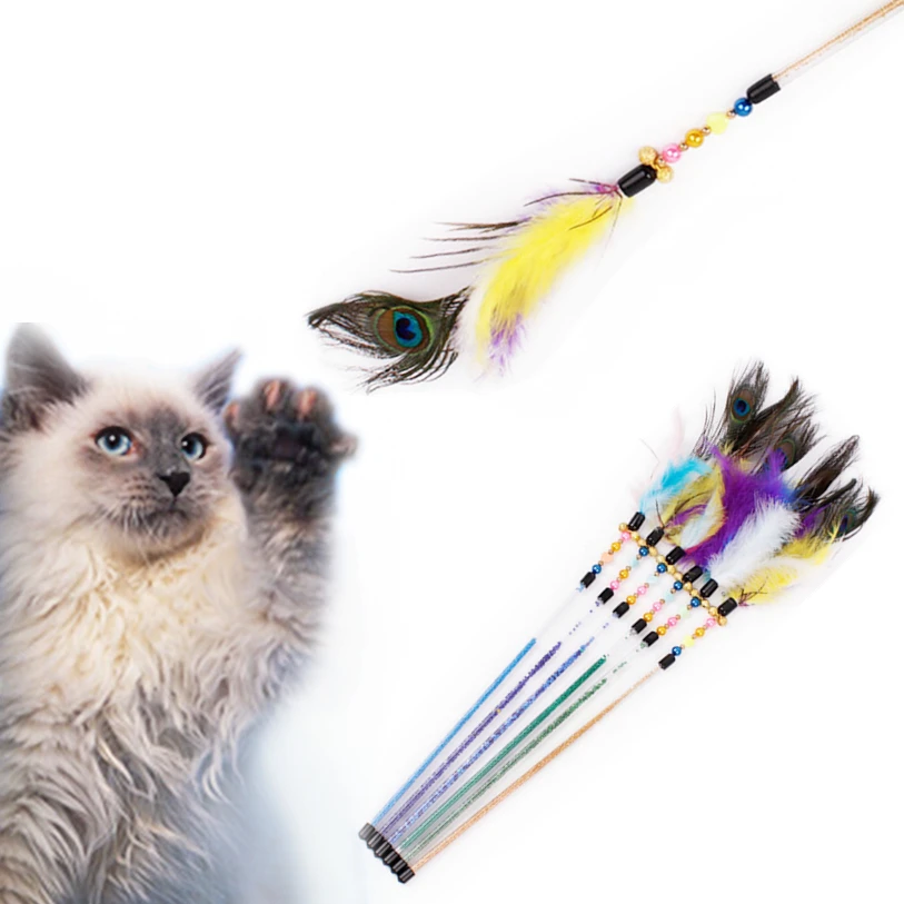 Pet Cat Teaser Kitten Jump Training Toy Peacock Feather Wand Cat ...