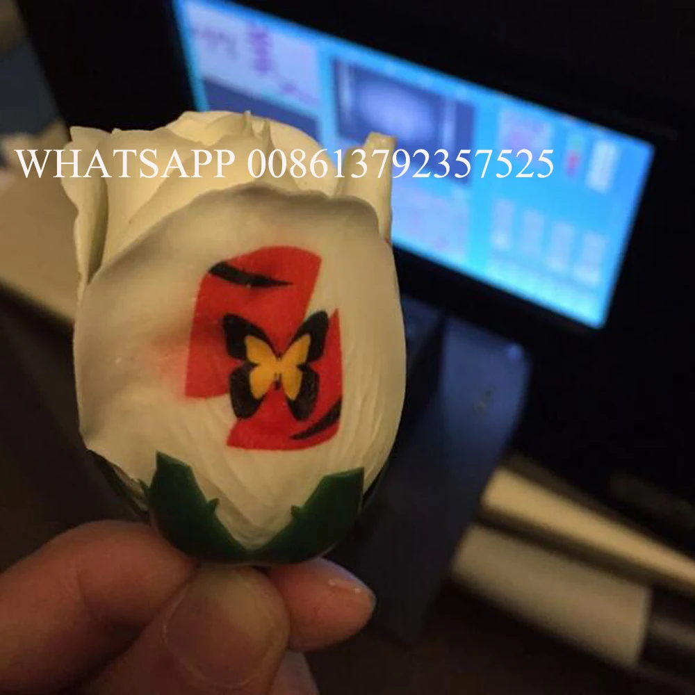 Speaking Roses Printer Food