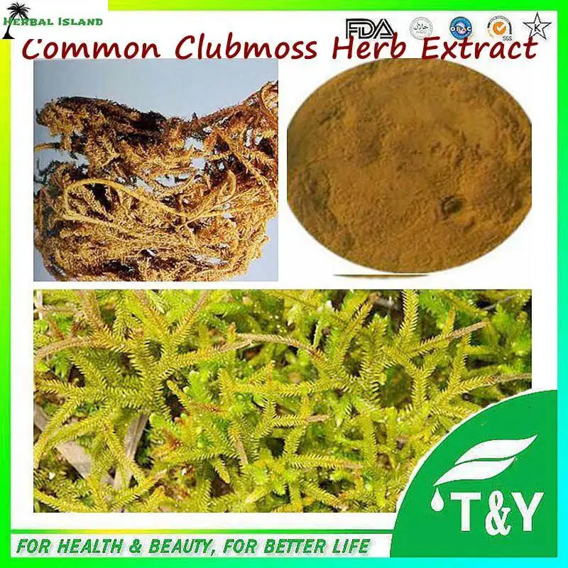 Lycopodium pó/Pó Lycopodium clavatum L.|powder|powder powder - AliExpress