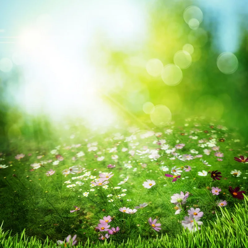 Photography Grass Field Photo Digital Backdrop Dreamy Backdrop for Fine ...