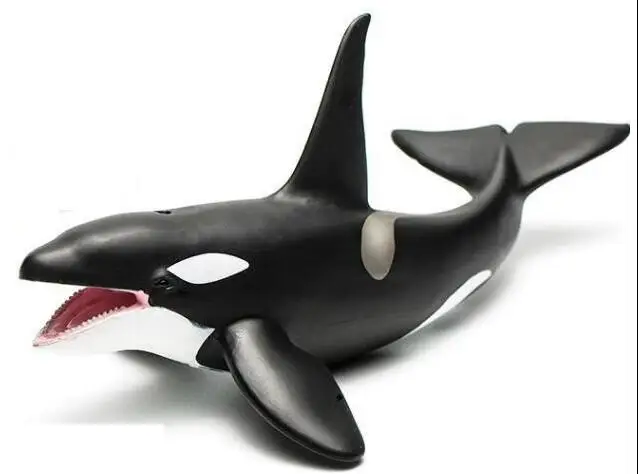 Collecta Sea life Orca Killer Whales Classic Toys For Children Boys ...