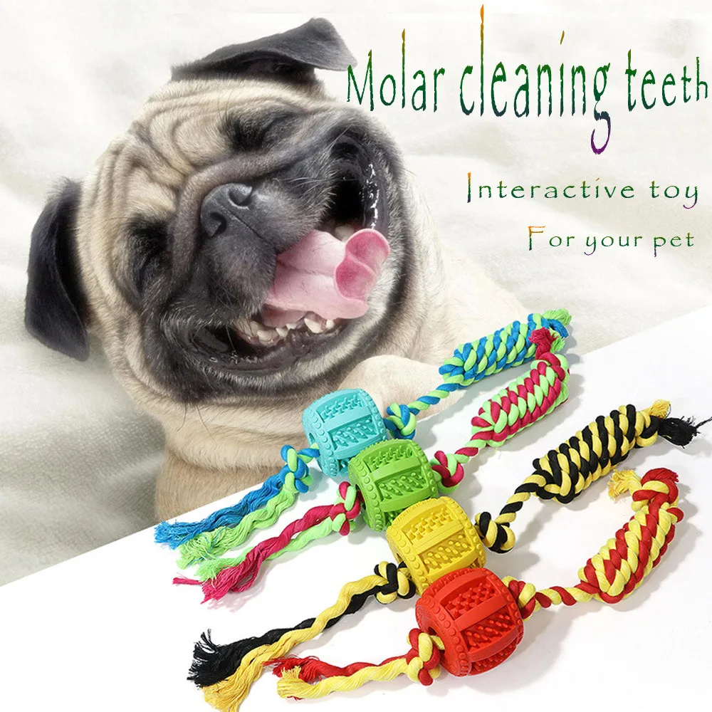 Dog Molar Stick Durable Biting Rubber Ball Tooth Brush Teeth Cleaning ...