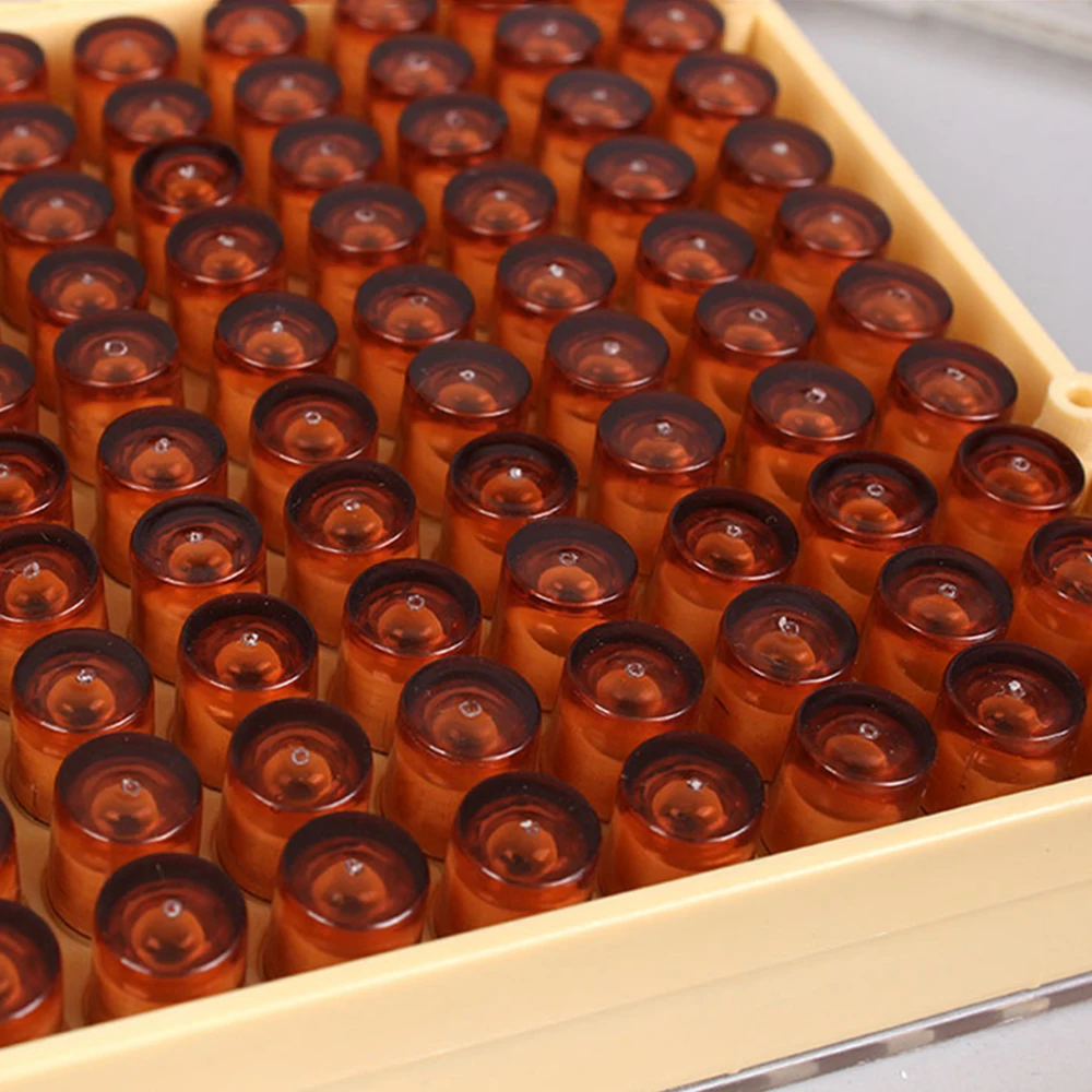 1000 Pcs Queen Cell Cup Beekeeping Tools Brown Bee Queen Rearing Cell ...