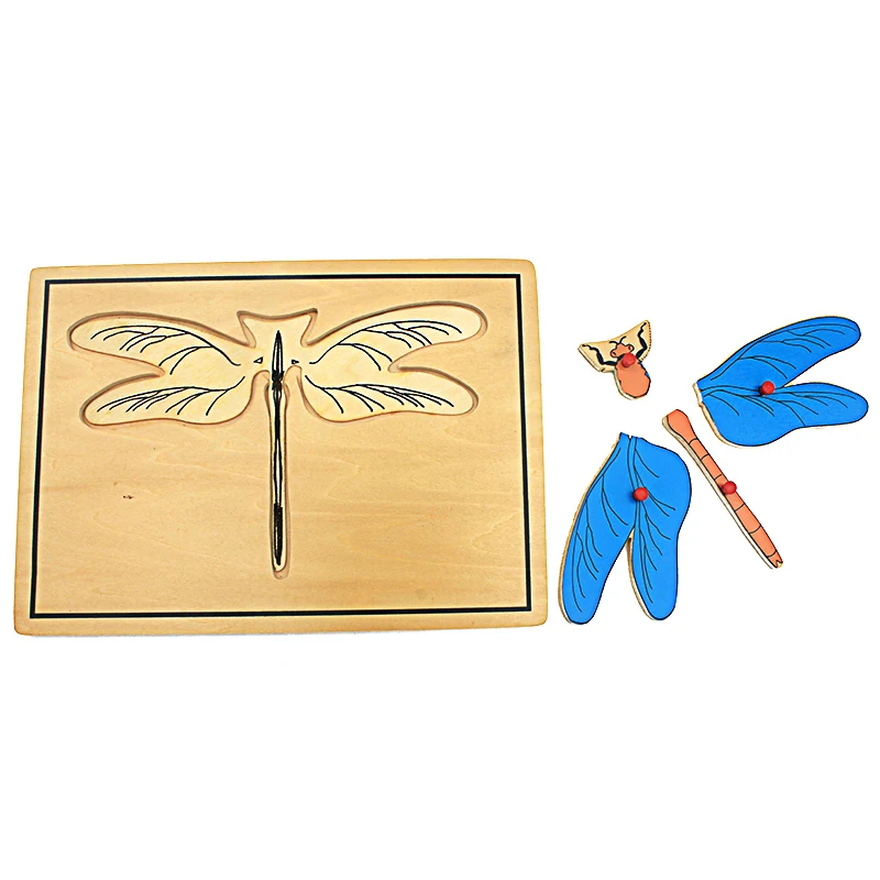 preschool Turtle Puzzle with SKELETON NEW Montessori Zoology Material ...