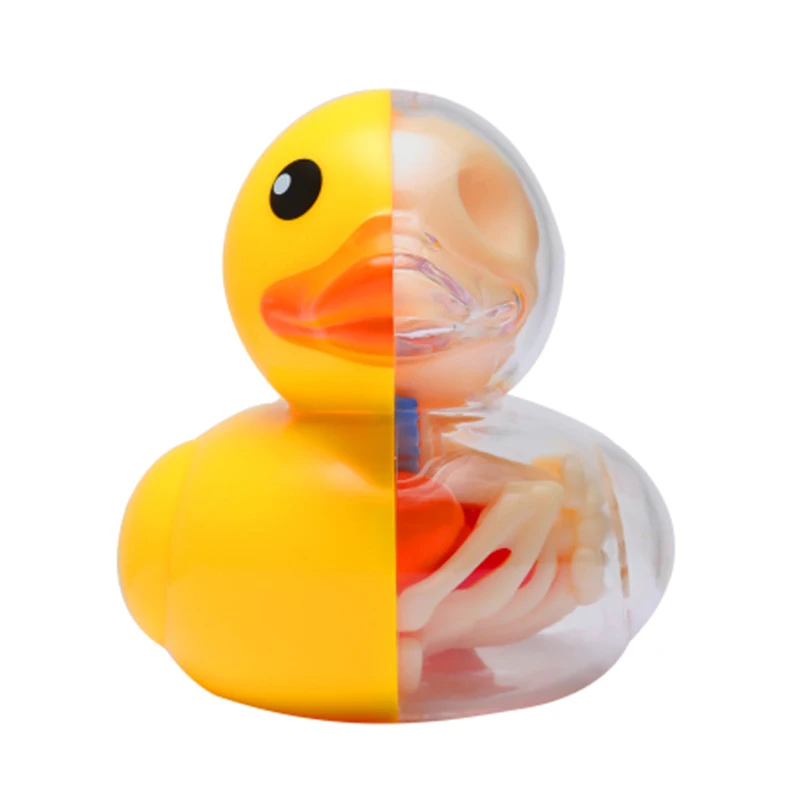 Duck Skeleton