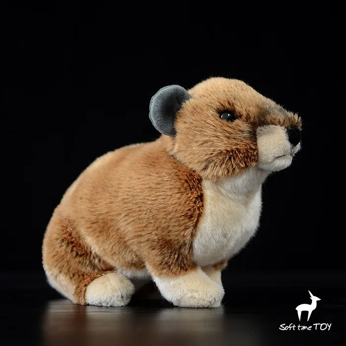 Rare Plush Toys For Children Gift Wildlife Africa Hyraxes Doll ...