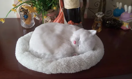 25x20cm-simulation-sleeping-cat-with-mat-model-toy-polyethylene-furs ...