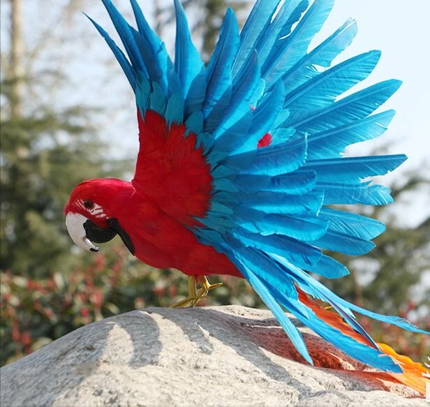 Red Parrot Feathers