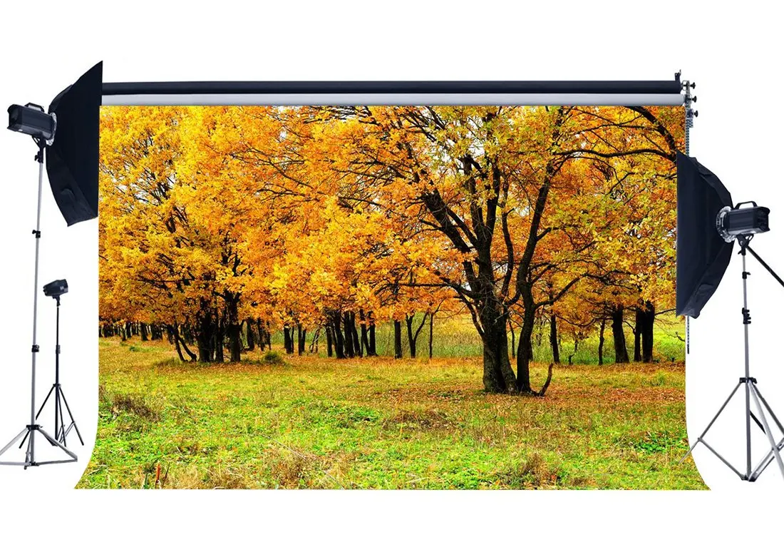Backdrops Pano de fundo de outono Folhas Douradas Backdrops Selva ...
