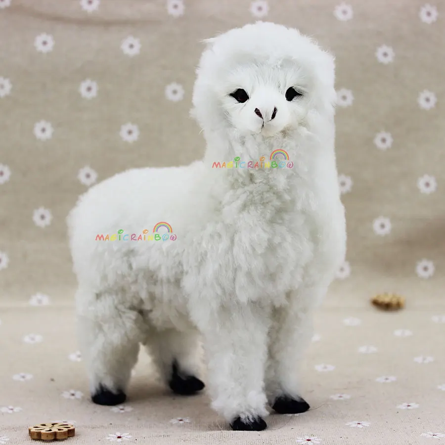 Mini Alpaca