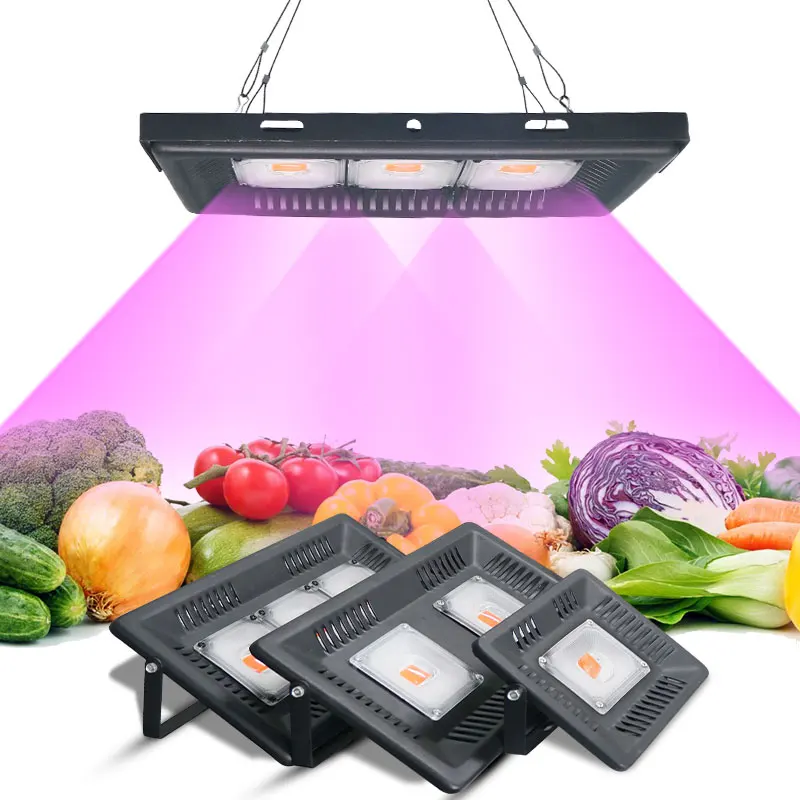 Waterproof IP67 COB Led Grow Light Full Spectrum 100W 200W 300W for ...