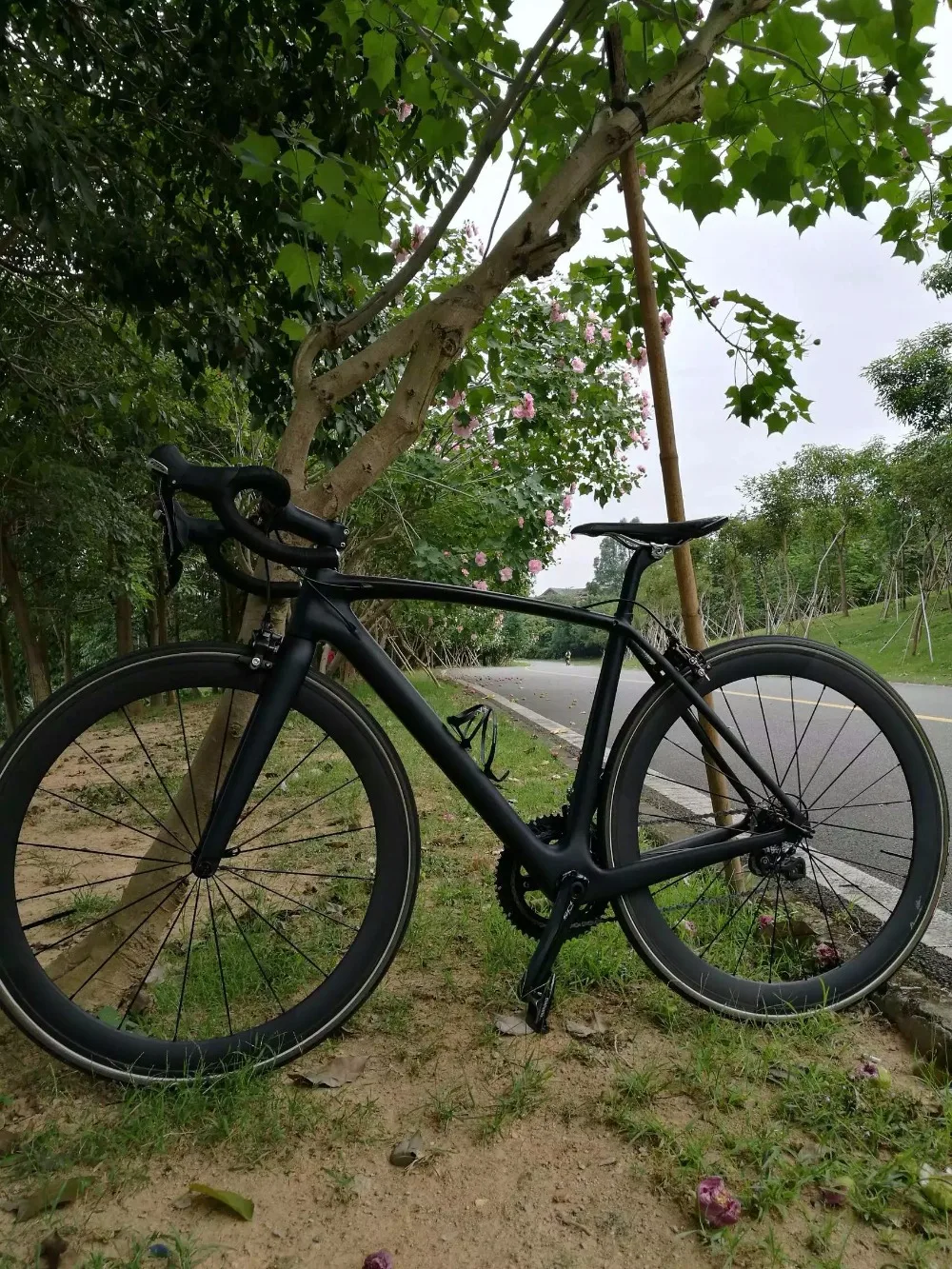 22 speed specialize complete carbon road bicycle,beautiful and strong ...