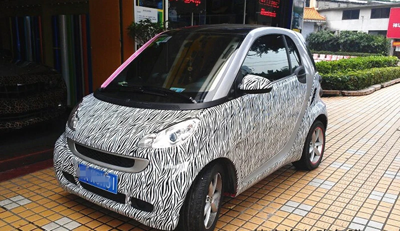 Zebra Smart Car