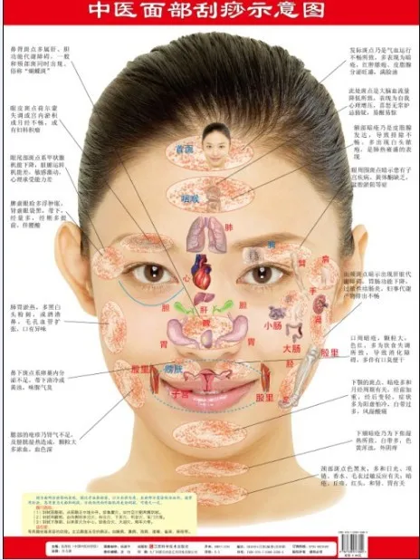Facial scraping, scraping diagrams, wall charts, TCM| | - AliExpress