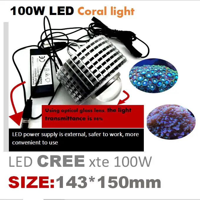 L-mpada-para-cultivo-de-plantas-hidrop-nicas-l-mpada-led-cree-100w-para-aqu-rio.jpg