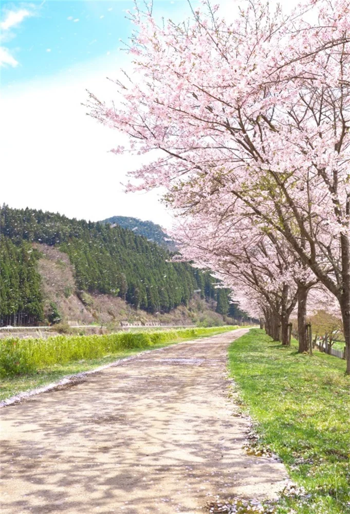 Laeacco Spring Flowers Tree Pathway Scenic Portrait Photography ...