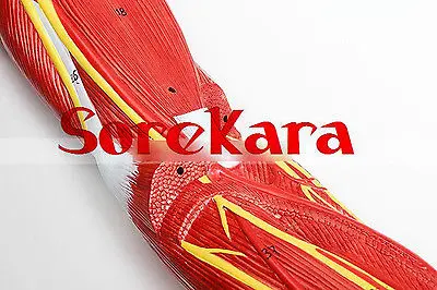 1:1 Human Anatomical Upper Limb Arm Muscle Dissection Medical Teach ...