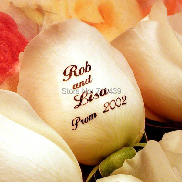 Speaking Roses Printer Food