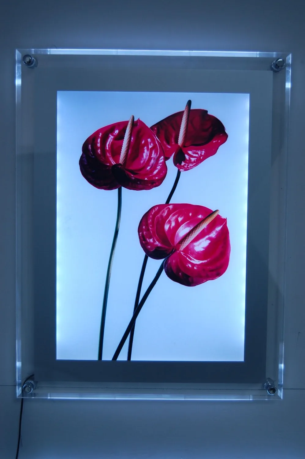 Wall Mounted A2 Size Acrylic LED Edge lit Photo Frame-in Advertising ...