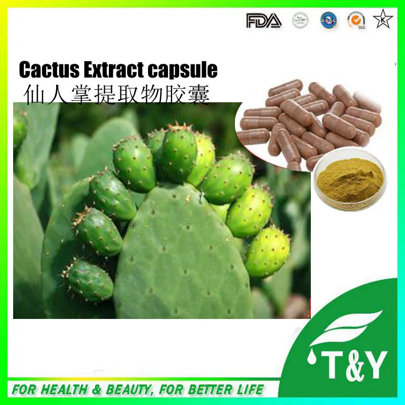 GMP certifited manufacturer supply 100% natural nopal cactus extract ...