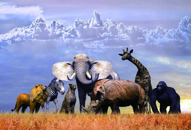 Baby African Safari Animals