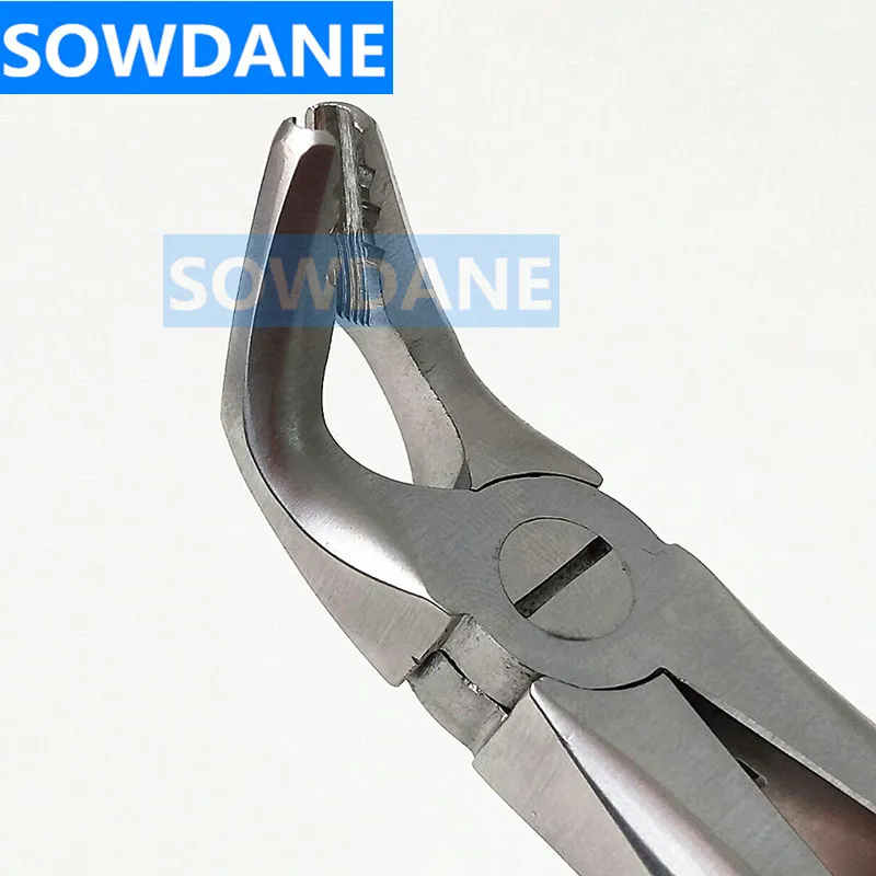 Higher Stainless steel Dental Adult Teeth Extraction Forcep for Upper ...
