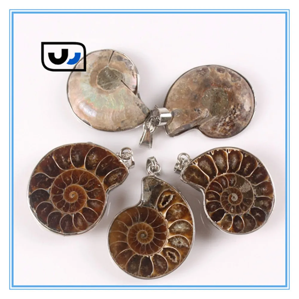 beautiful natural ammonite shell Pendant|shell pendant|natural ...
