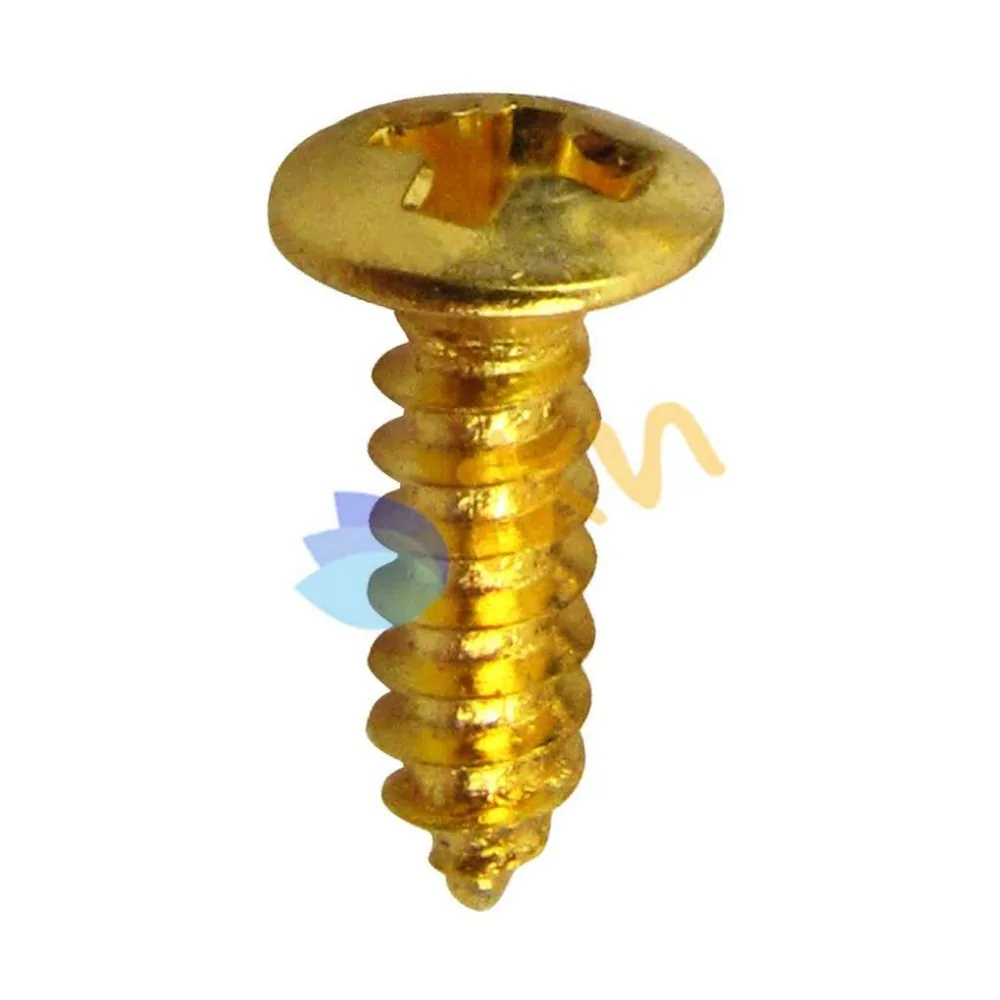 50pcs/lot Golden Color Pickguard Screws Plate Screws for ST Style ...