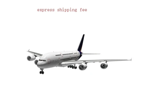 Extra EXPRESS SHIPPING FEE|fee| - AliExpress