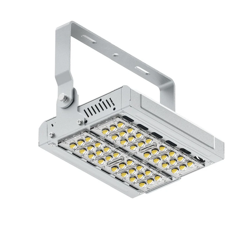 50W 100W LED Flood light led corrosion resistance Tunnel light good ...