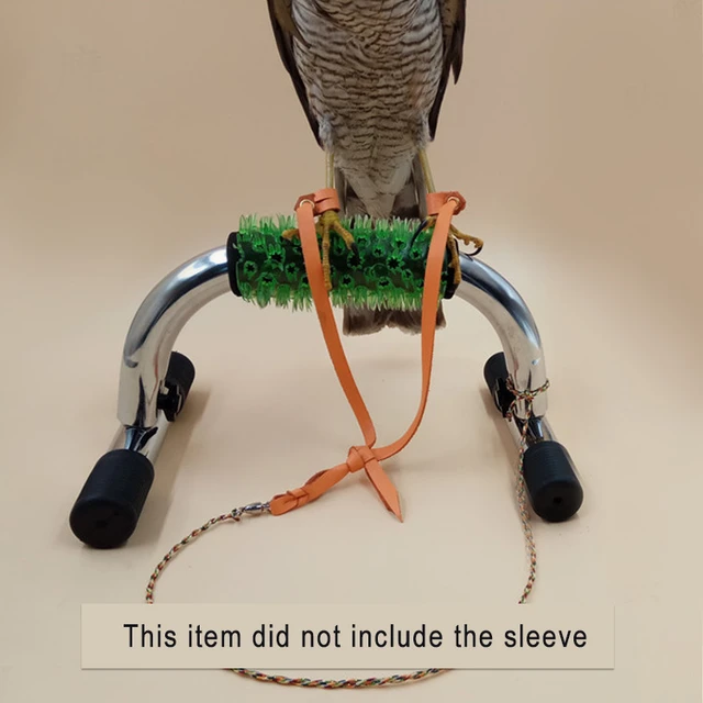 Falconry Equipment
