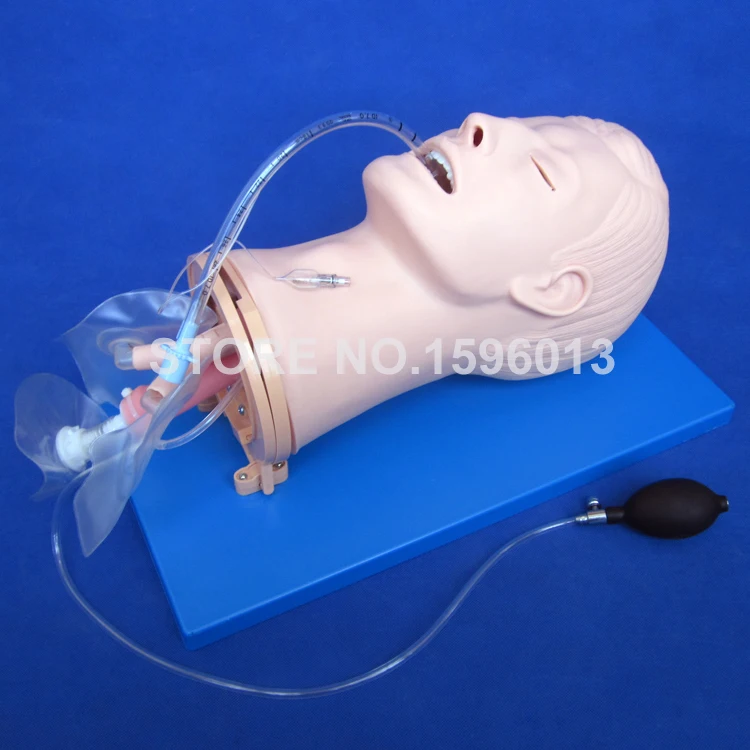 Advanced Multi functional Airway Management Model,Endotracheal airway ...