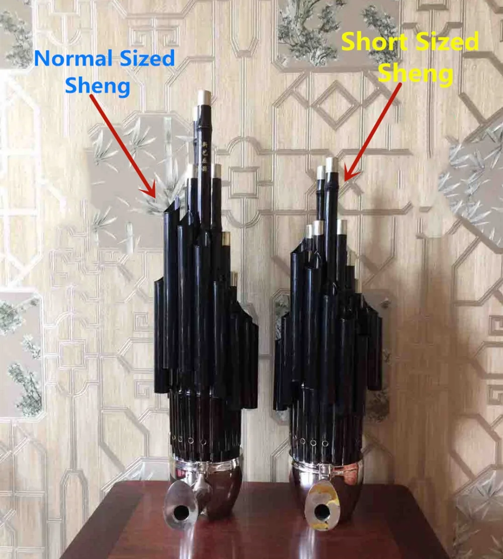 Sheng Instrument Modern