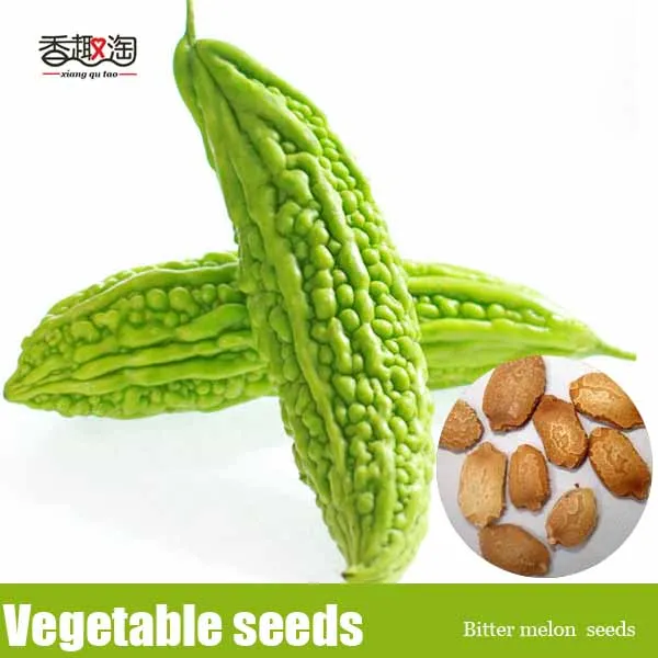 Online Buy Wholesale bitter gourd fruit from China bitter gourd fruit ...