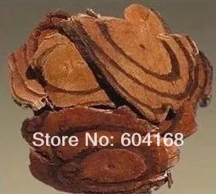 Suberect Spatholobus Stem / Millettla/ji xue teng/Chinese Traditional ...