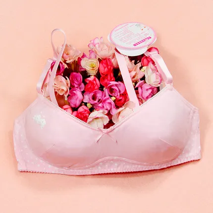 Gratis verzending Feichangzimei Tiener Meisje Ondergoed Training Bh ...